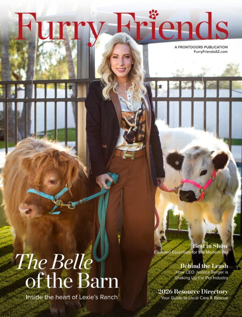 A Beacon for Every Best Friend - Frontdoors Media